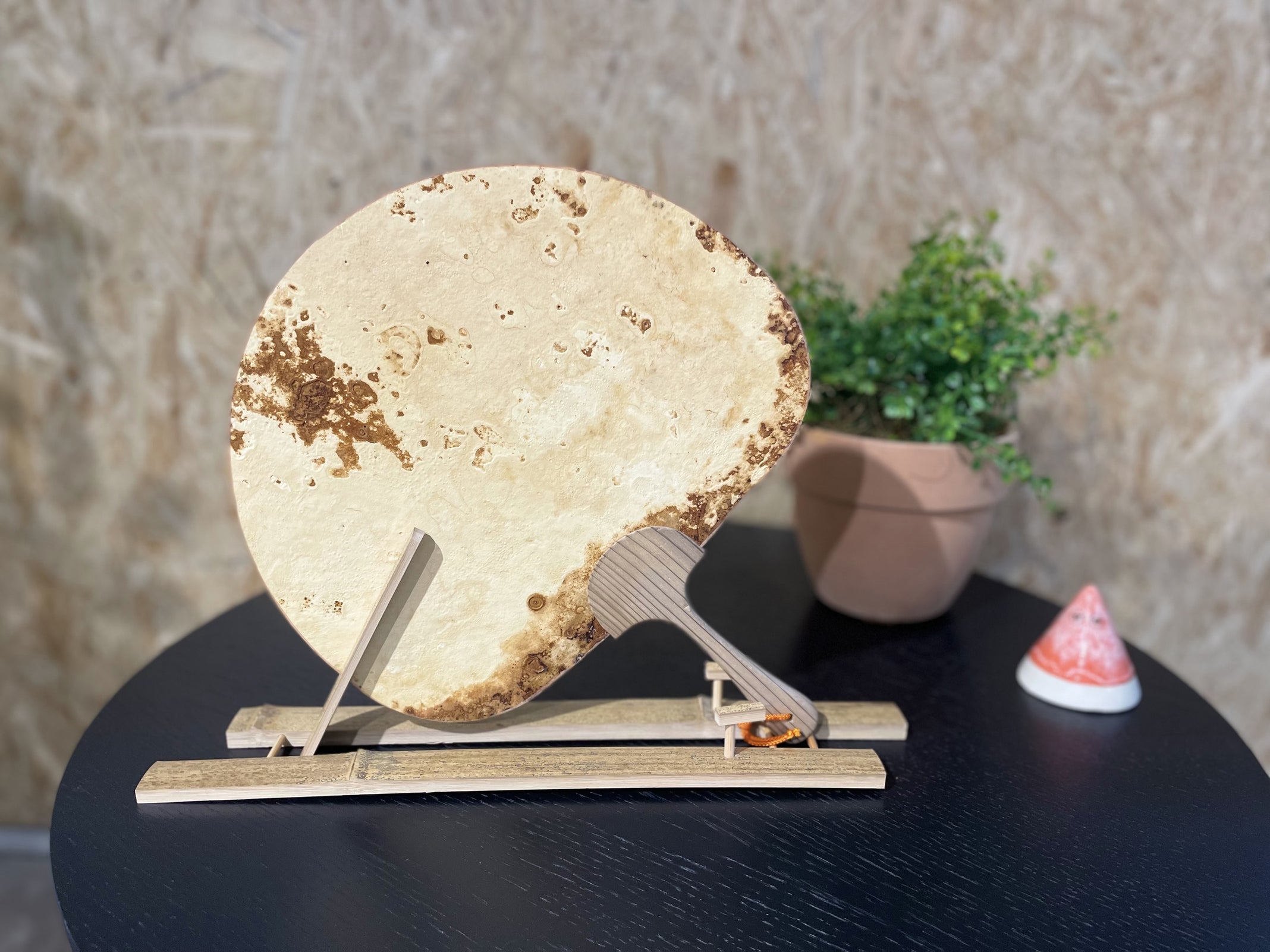 国内初マッシュルームスキン（マッシュルームレザー）特化型ブランド「mushco」公式サイト